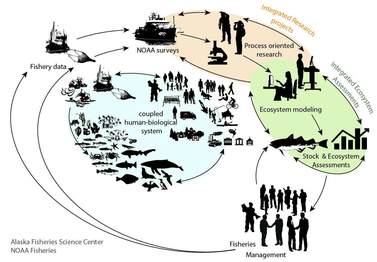 Alaska Eastern Bering Sea Integrated Ecosystem Assessment Modeling ... Alaska Eastern Bering Sea Integrated Ecosystem Assessment Modeling ...