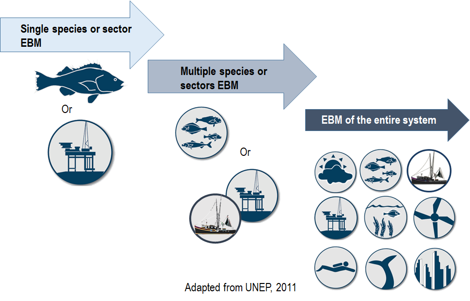 Ecosystem-Based Management | Integrated Ecosystem Assessment Ecosystem-Based Management | Integrated Ecosystem Assessment
